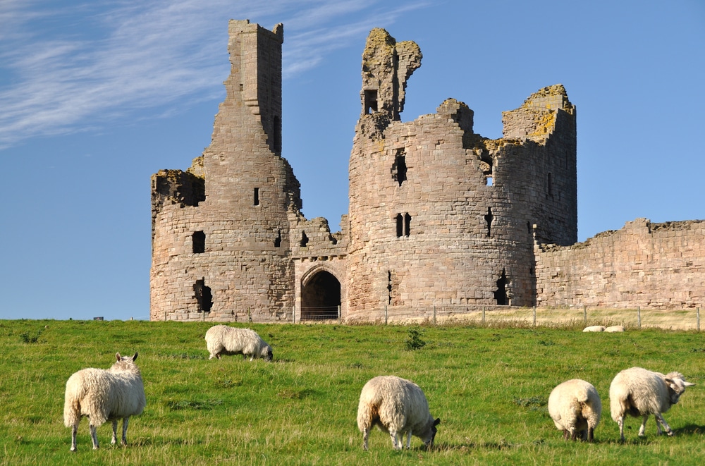 Dunstanburgh Castle | Get Tickets, Visitor Info | Castles History